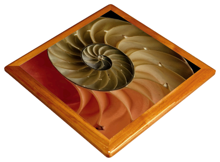 DG500 - Table Topics